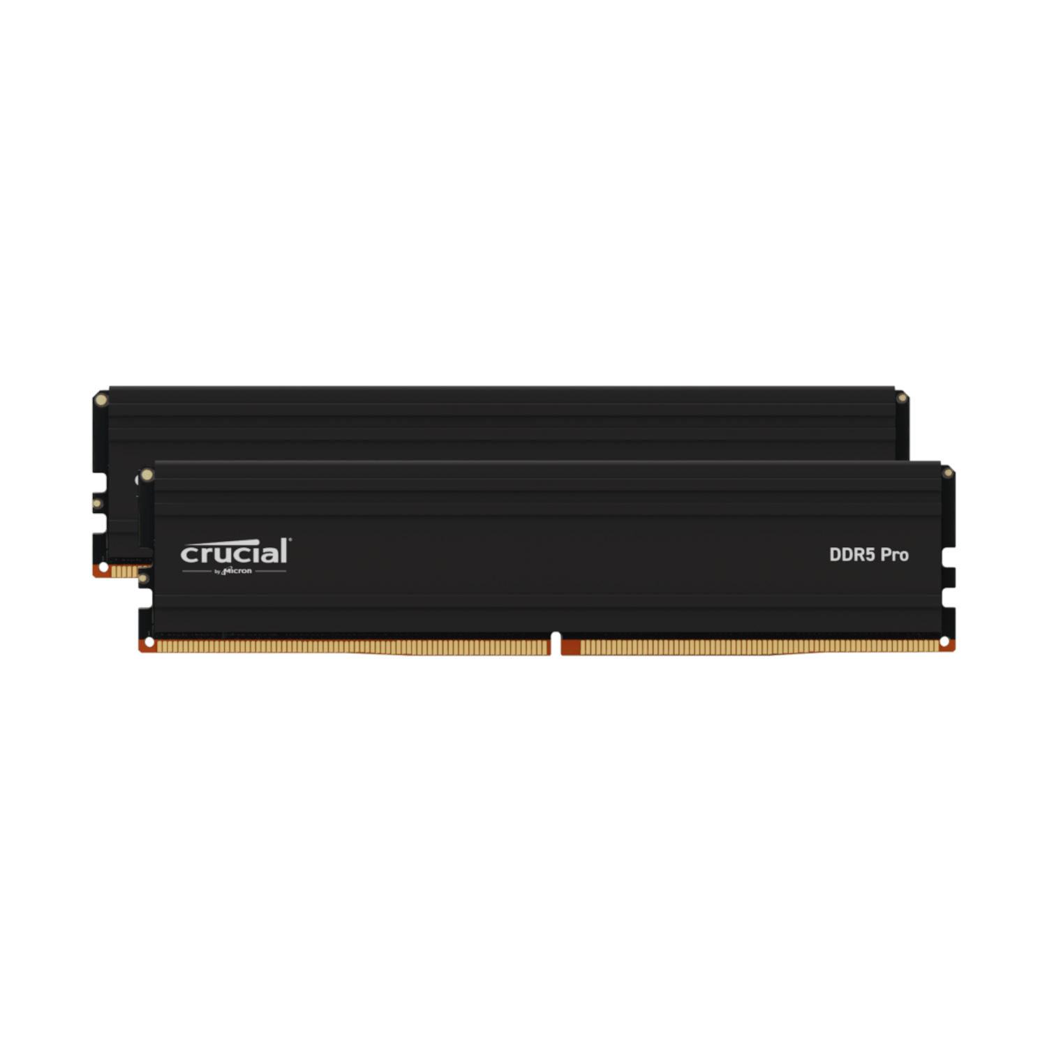 Crucial Pro DDR5-6000 64GB Overclocking Memory Kit - Black - Syntech